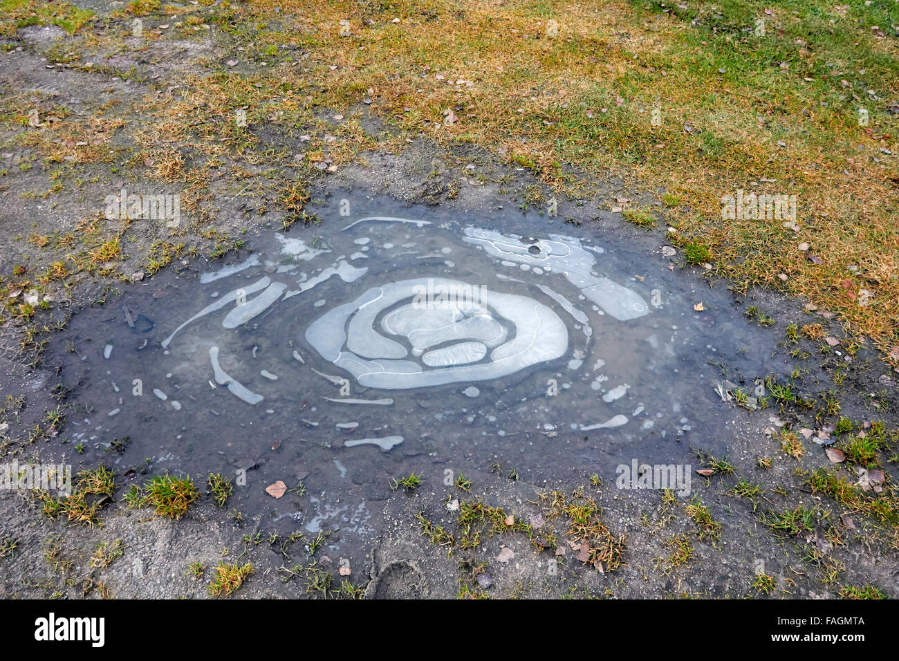 Puddle on ground hi-res stock photography and images - Alamy