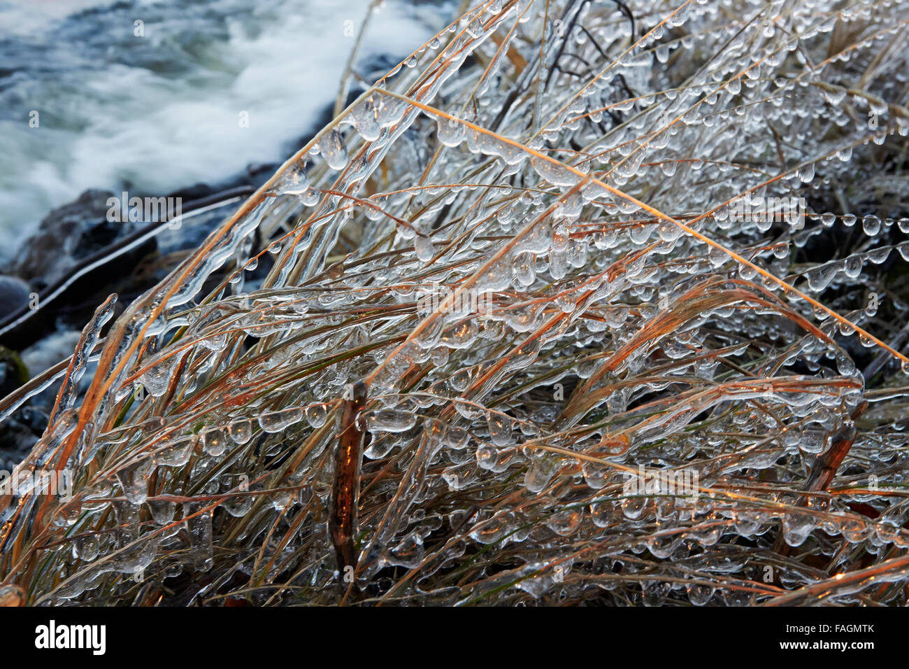icicles, Finland Europe Stock Photo - Alamy