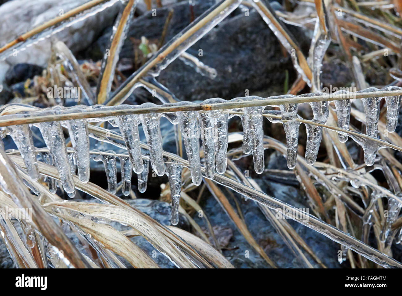 icicles, Finland Europe Stock Photo - Alamy