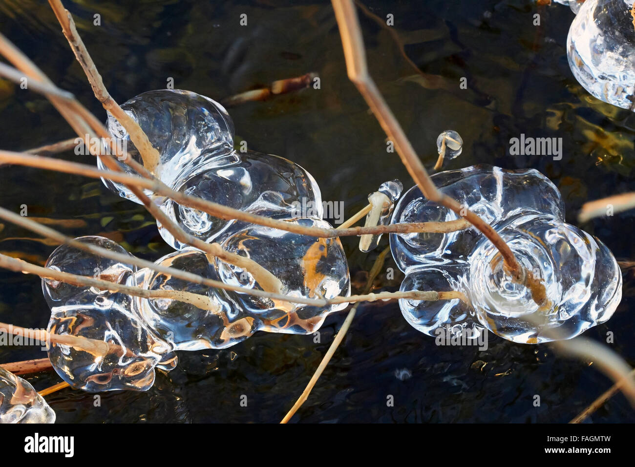 icicles, Finland Europe Stock Photo - Alamy