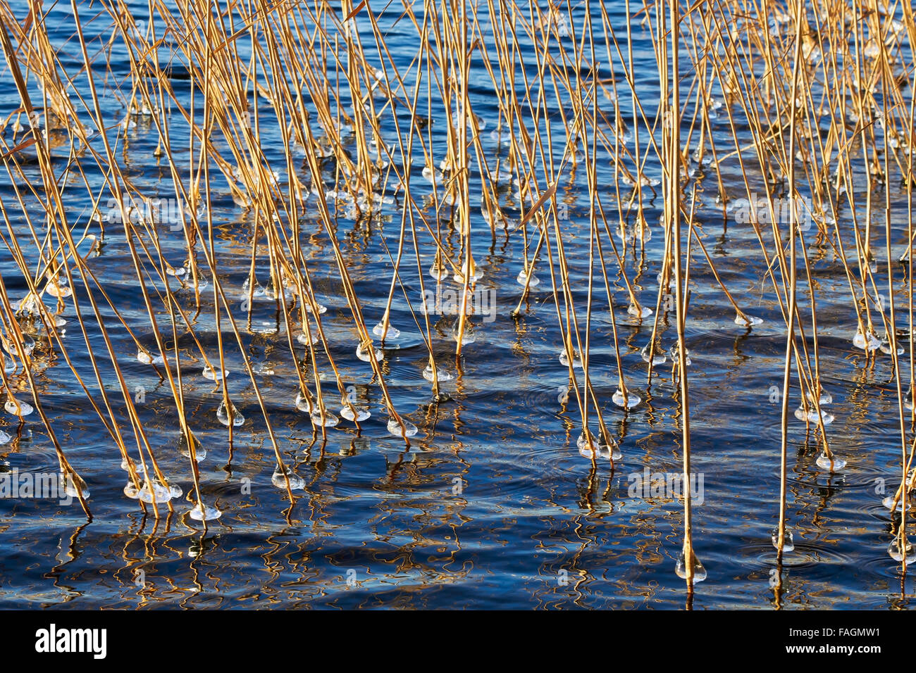 icicles, Finland Europe Stock Photo - Alamy