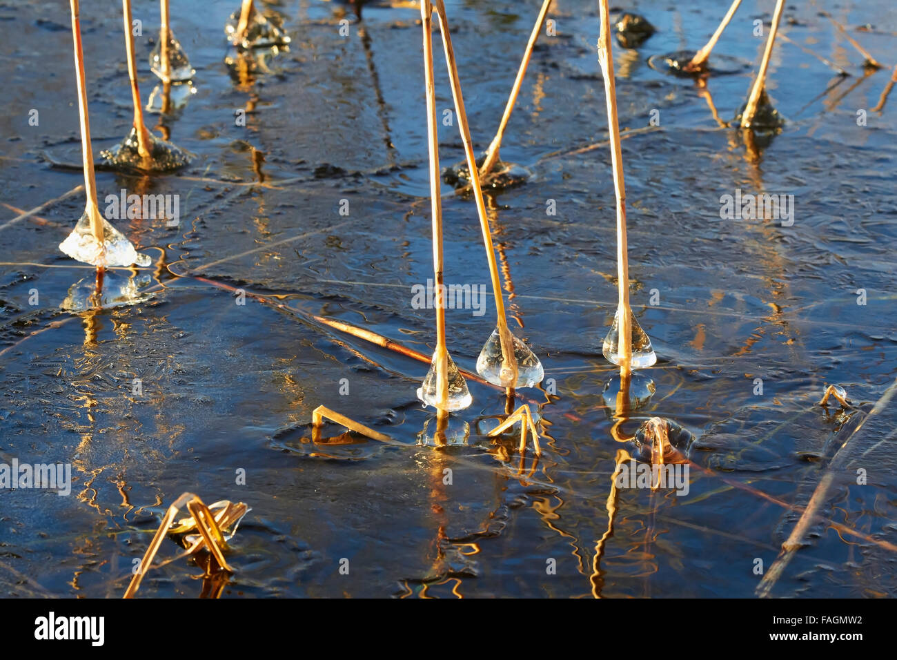 icicles, Finland Europe Stock Photo - Alamy