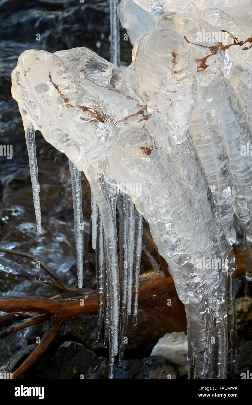 Icicles on the tree hi-res stock photography and images - Alamy