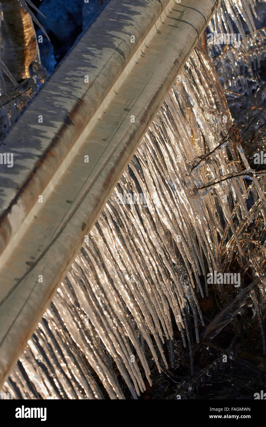 icicles, Finland Europe Stock Photo - Alamy