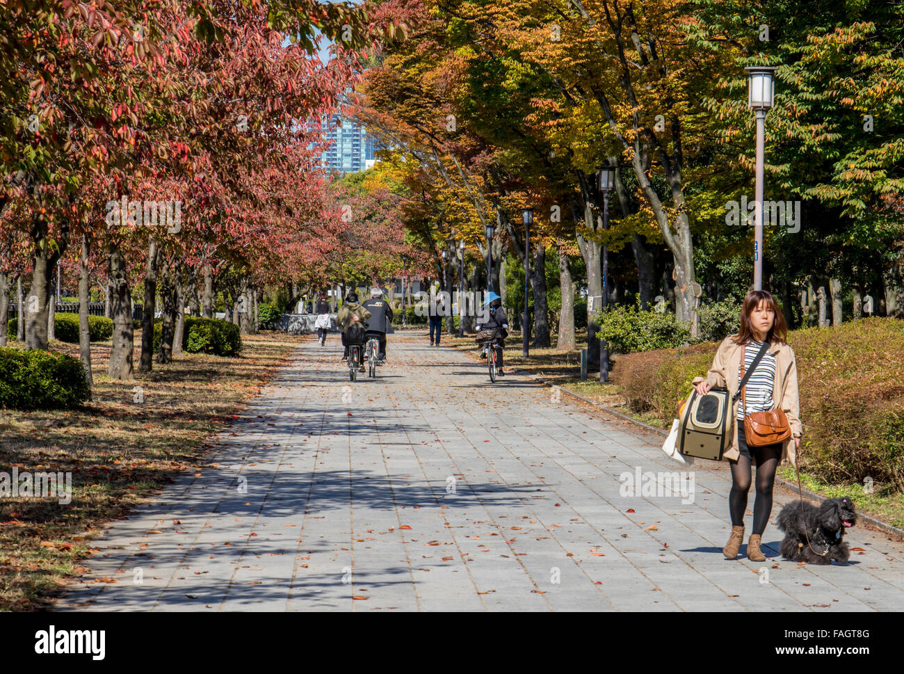 Osaka national park hi-res stock photography and images - Alamy