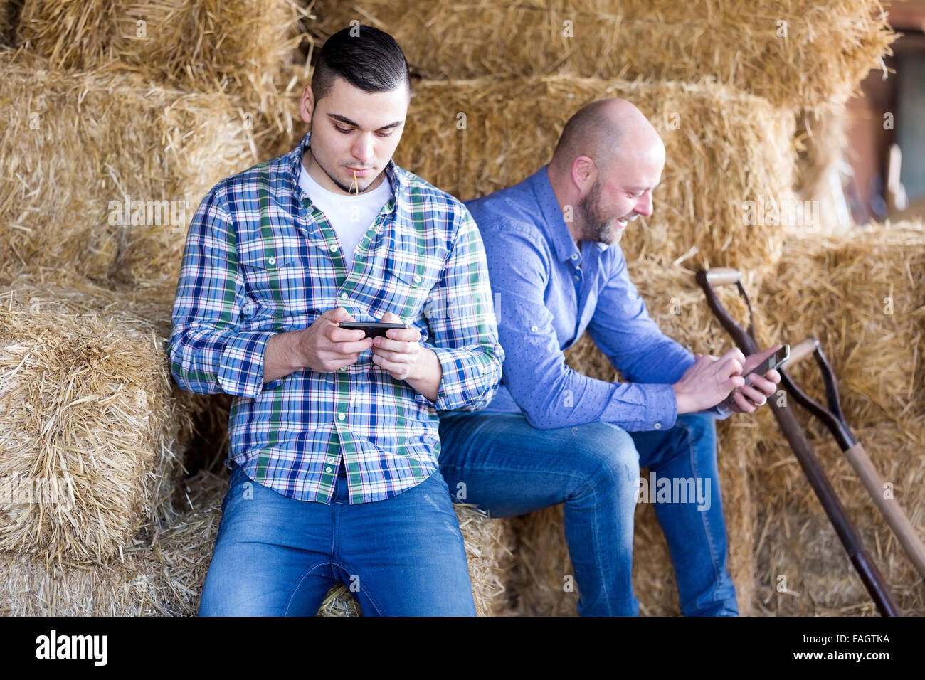 two happy relaxed farm workers holding phonesin the hayloft. Focus on ...