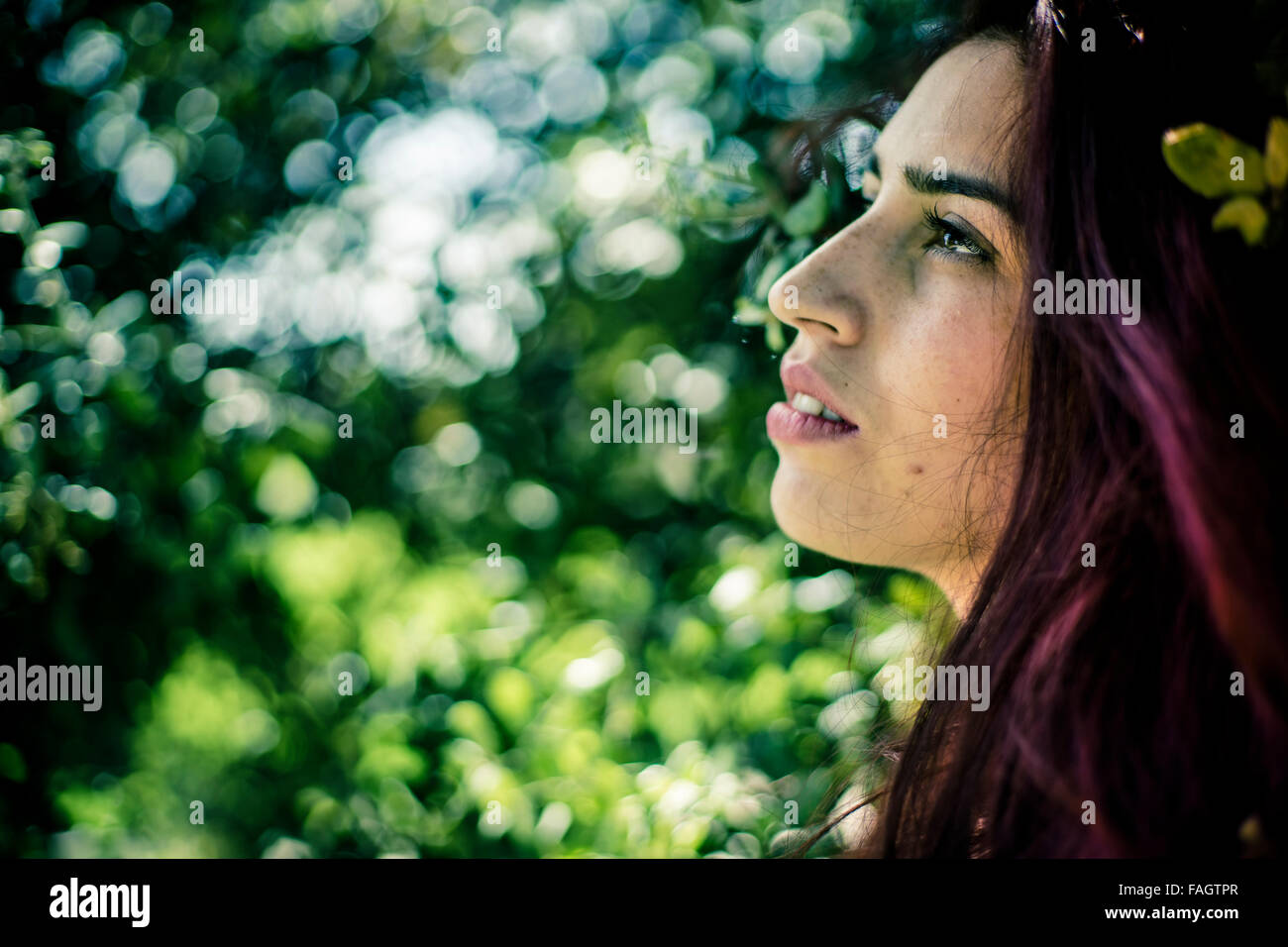 romantic girl with branches of a tree in a park Stock Photo - Alamy