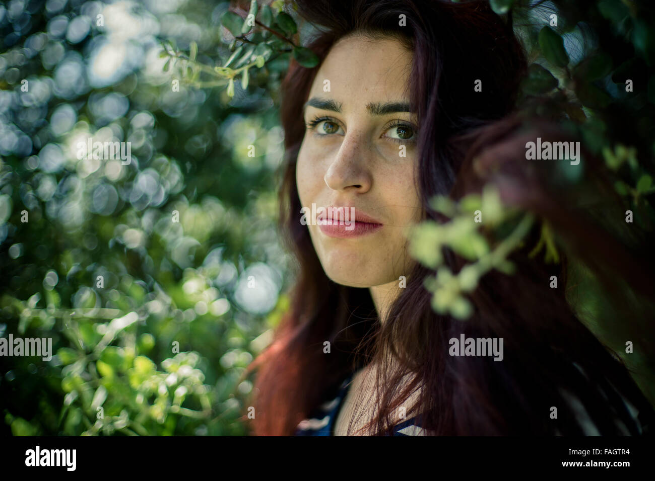 romantic girl with branches of a tree in a park Stock Photo - Alamy