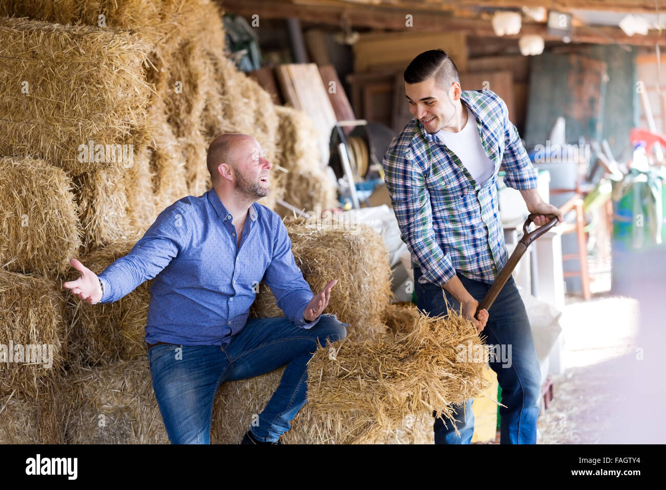 Two happy farm workers working in the hayloft. Focus on the left man ...