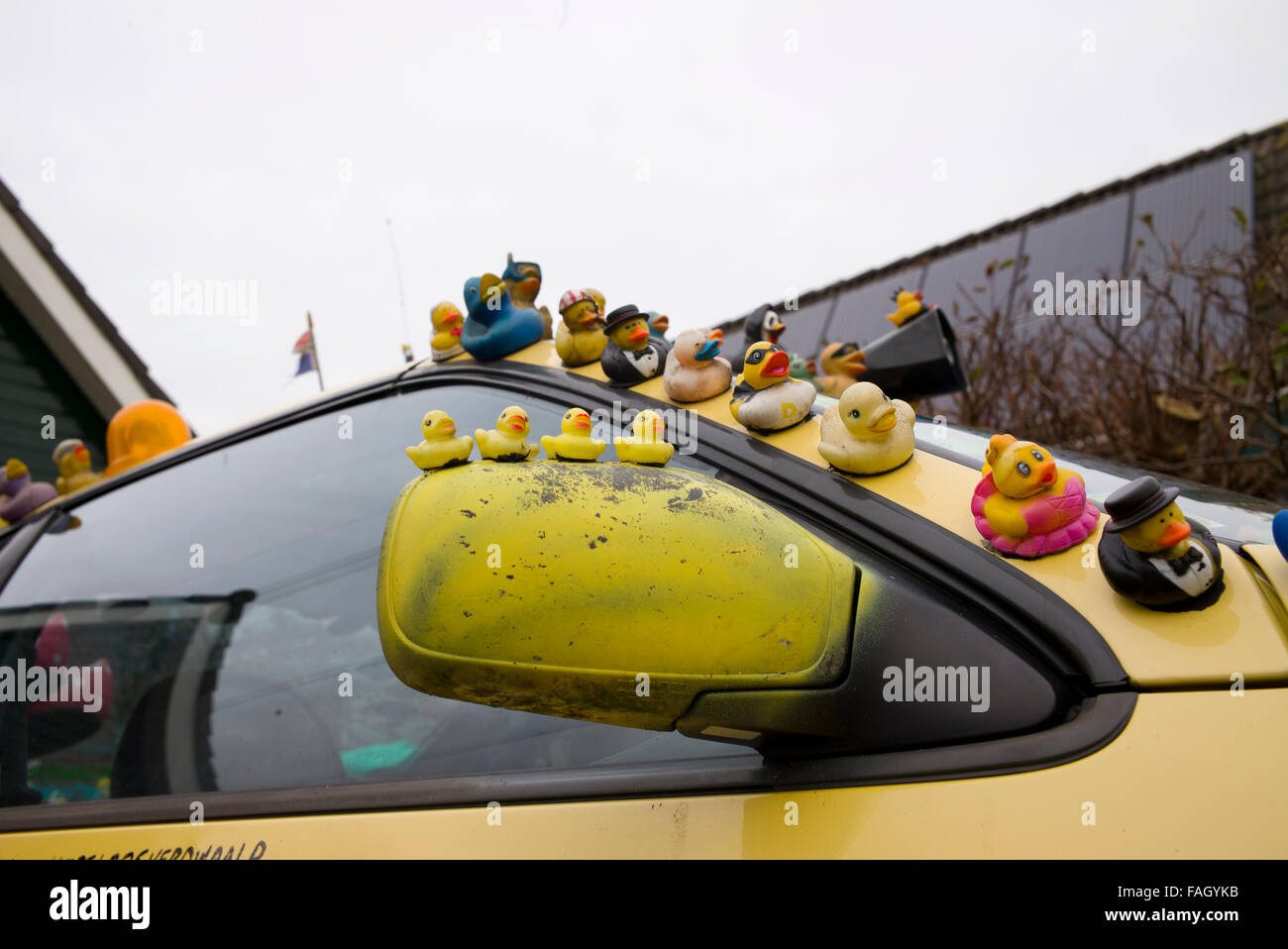 many rubber ducks on car Stock Photo - Alamy