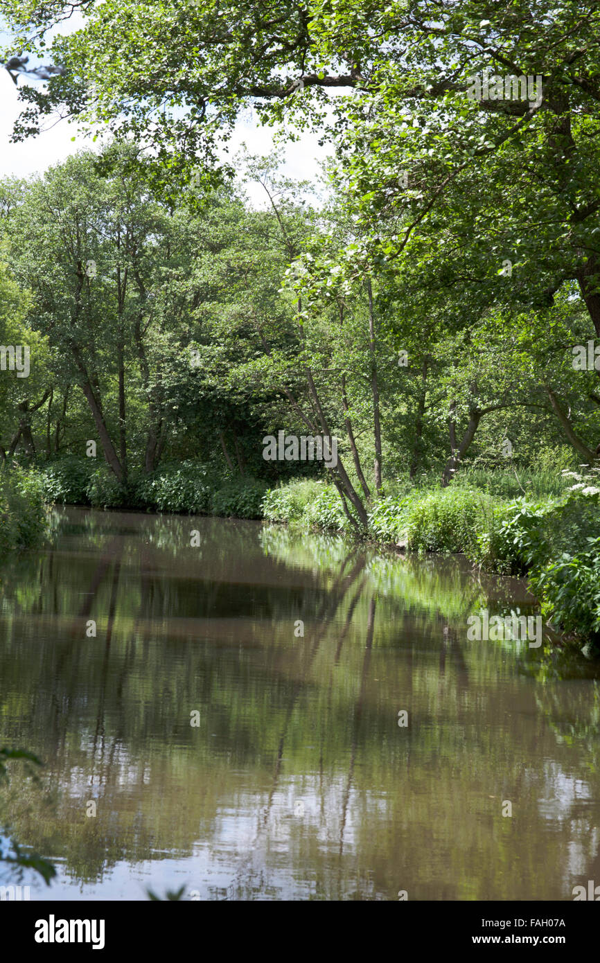 River churnet hi-res stock photography and images - Alamy