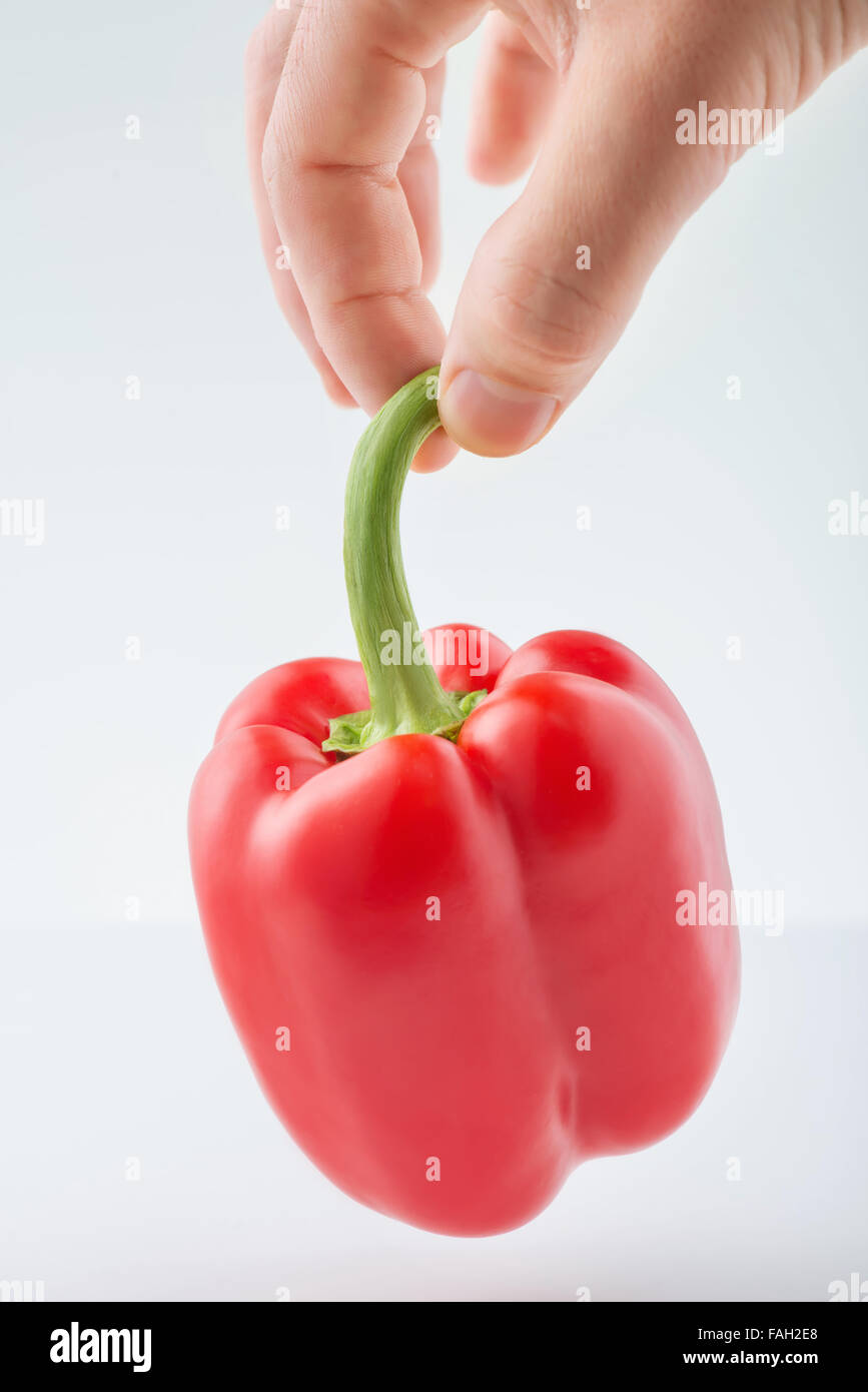 Human hand holding red pepper Stock Photo - Alamy