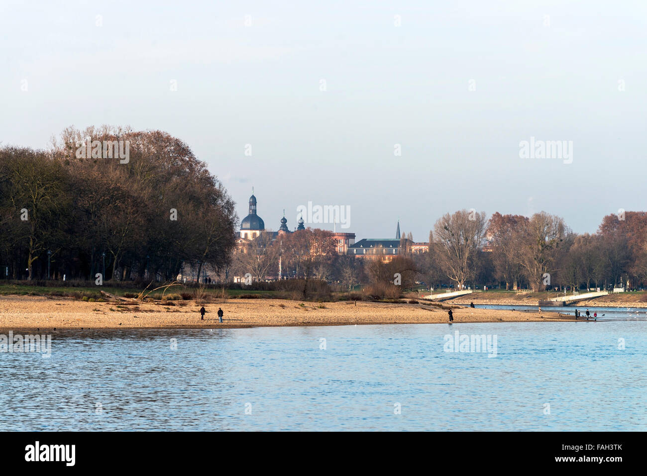 Parkinsel Ludwigshafen, Rhine river and Mannheim castle Stock Photo - Alamy