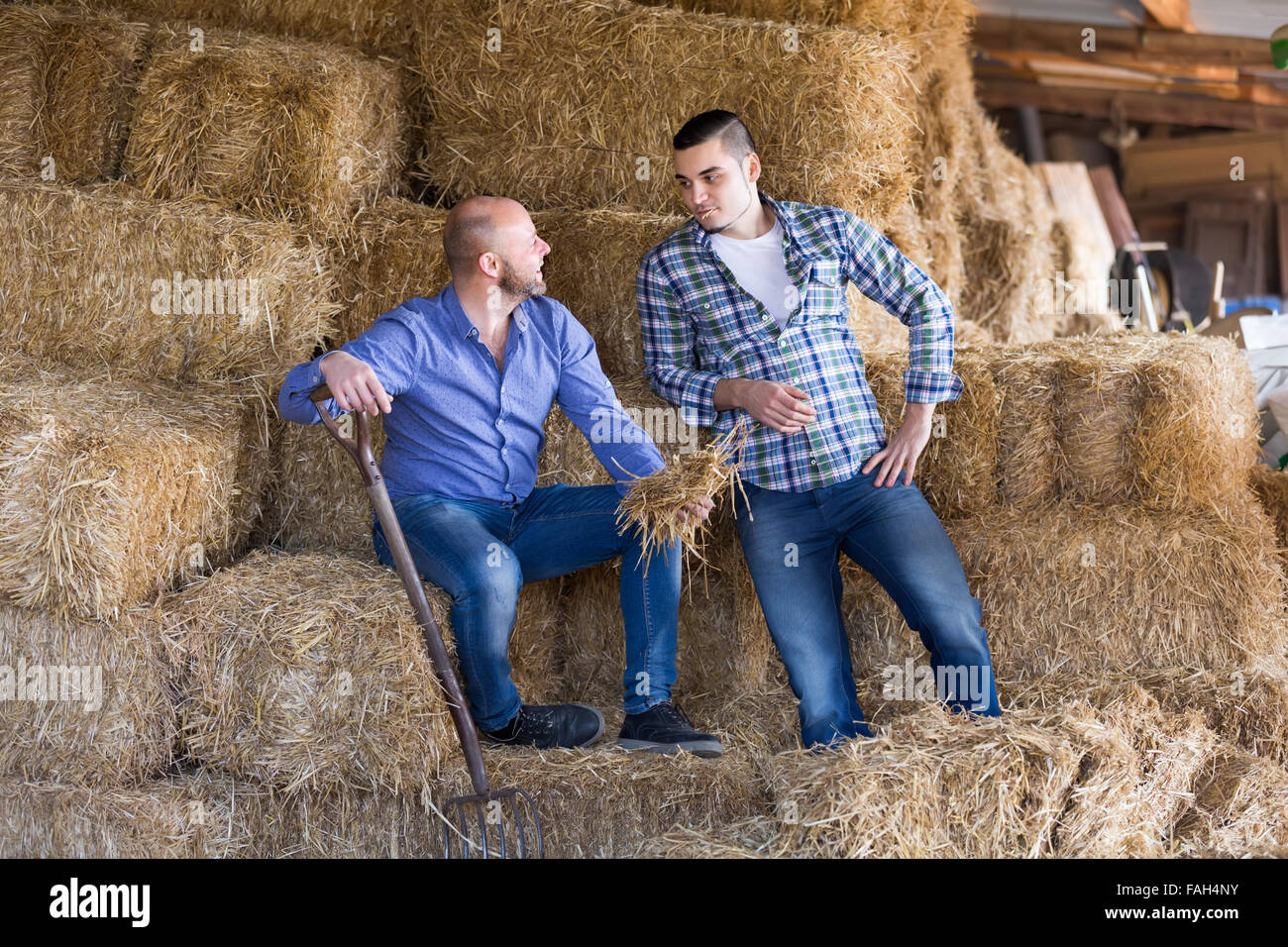 Two happy smiling male farmers with working tools in barn Stock Photo ...