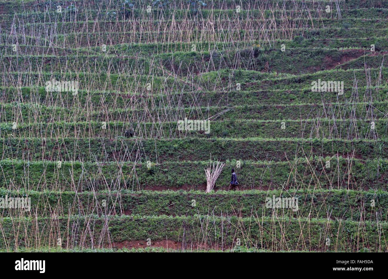 Rutsiro district hi-res stock photography and images - Alamy