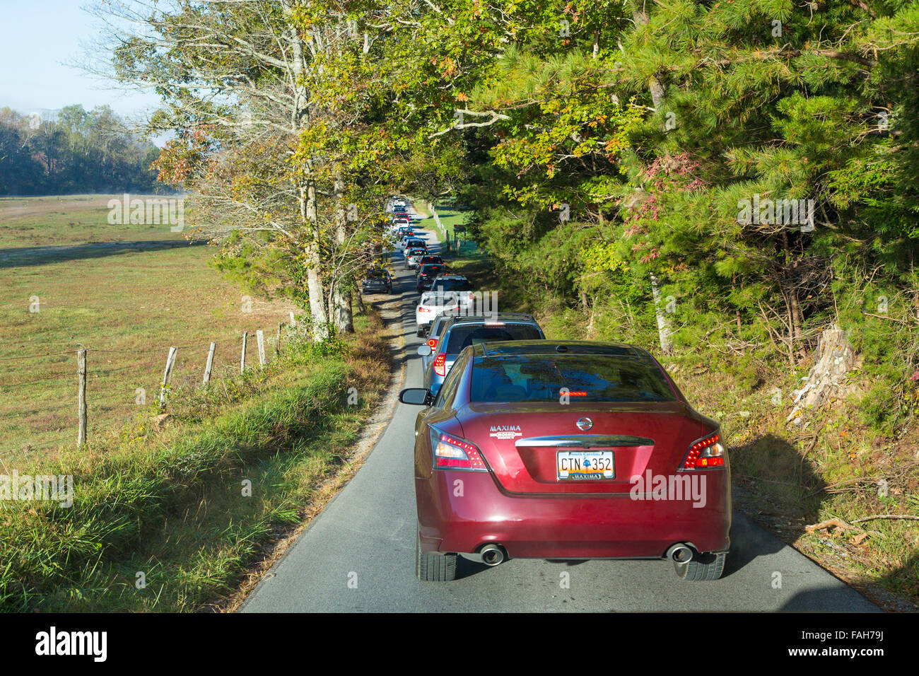 Auto traffic in Cades Cove in the Great Smoky Mountains National Park ...