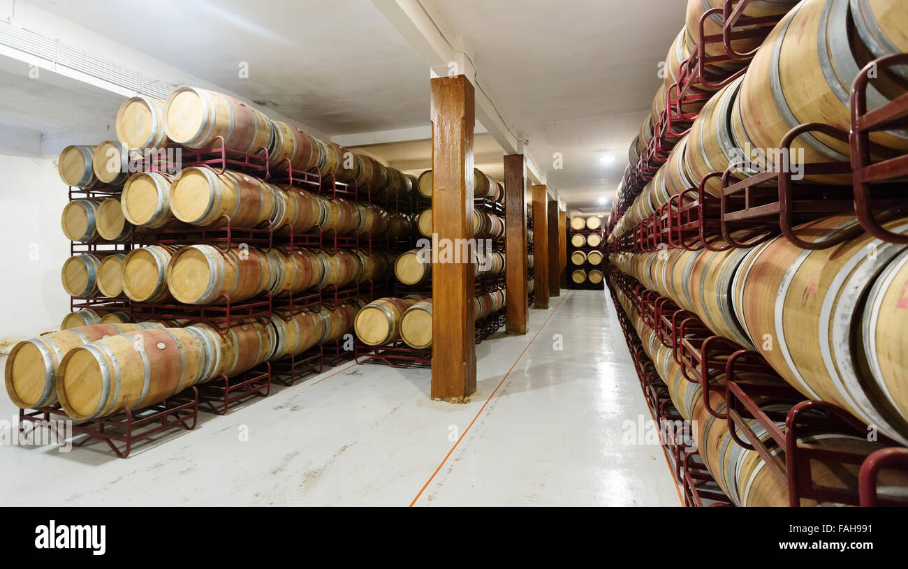Rows of wooden barrels in old cellar Stock Photo - Alamy
