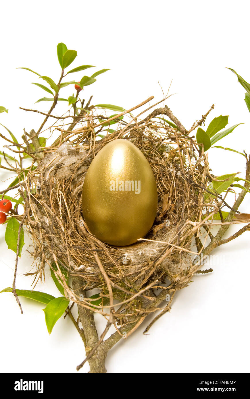 Golden birds nest hi-res stock photography and images - Alamy