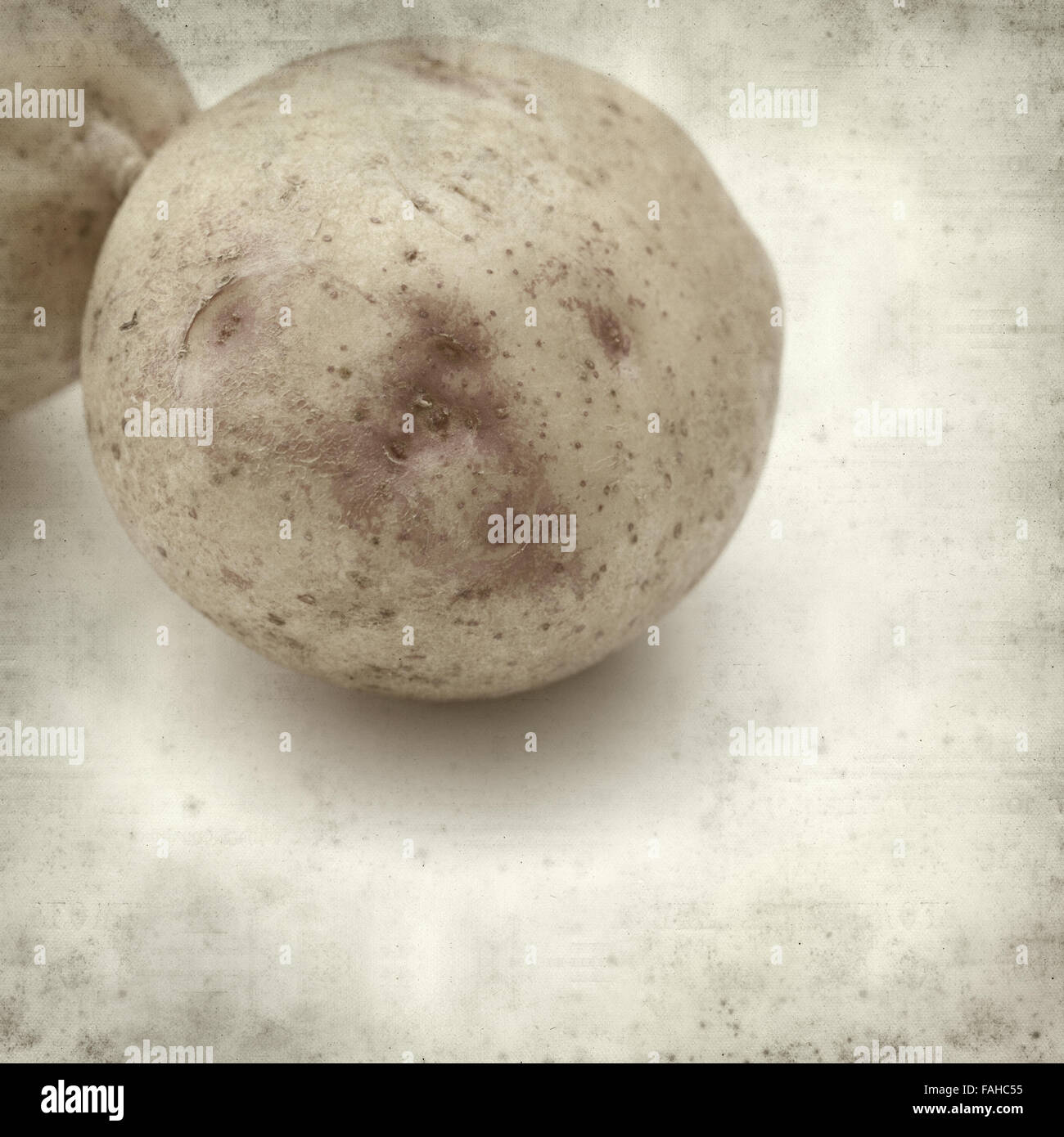 textured old paper background with new potatoes Stock Photo - Alamy