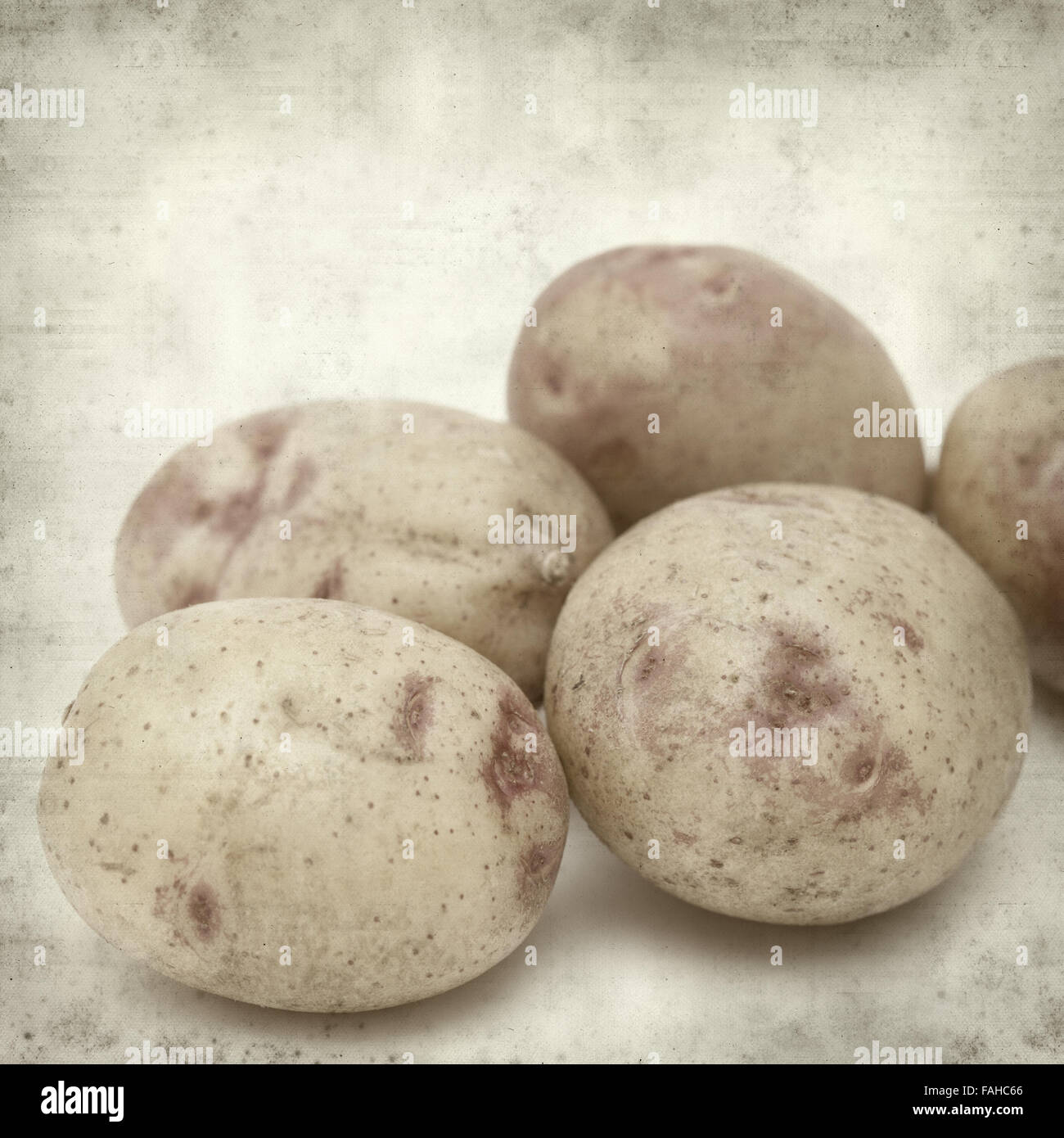 textured old paper background with new potatoes Stock Photo - Alamy