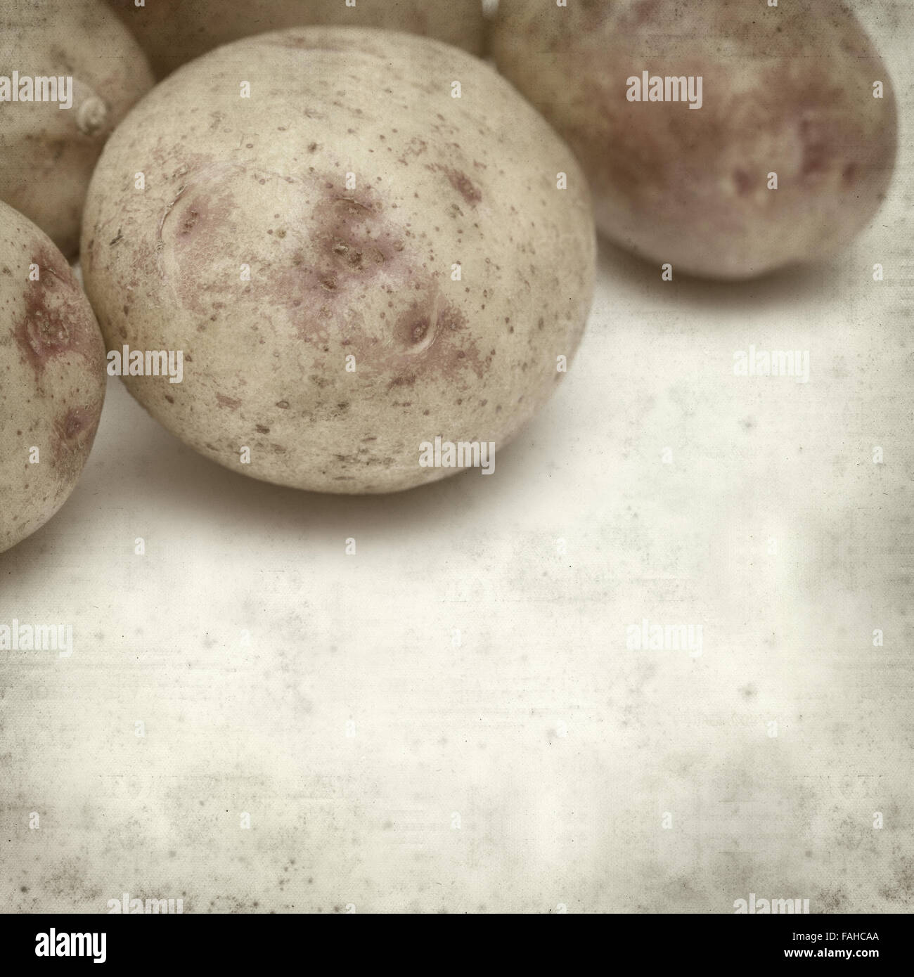 textured old paper background with new potatoes Stock Photo - Alamy