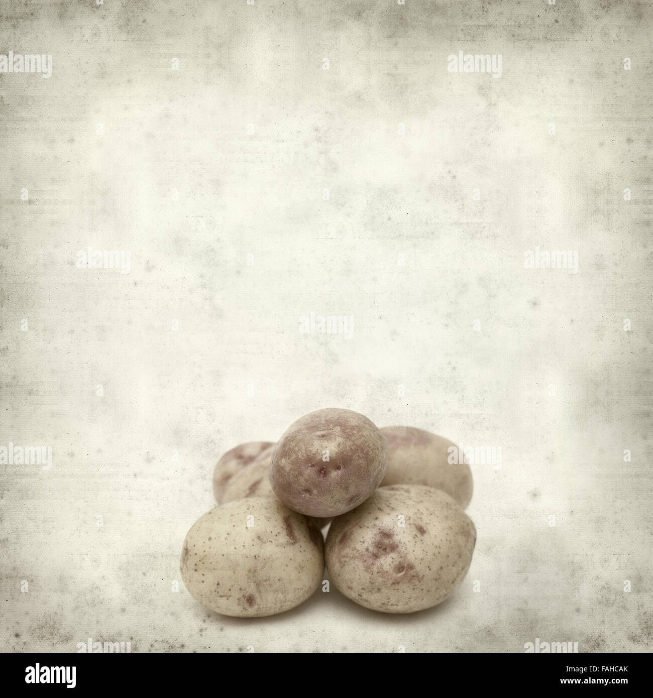 textured old paper background with new potatoes Stock Photo - Alamy