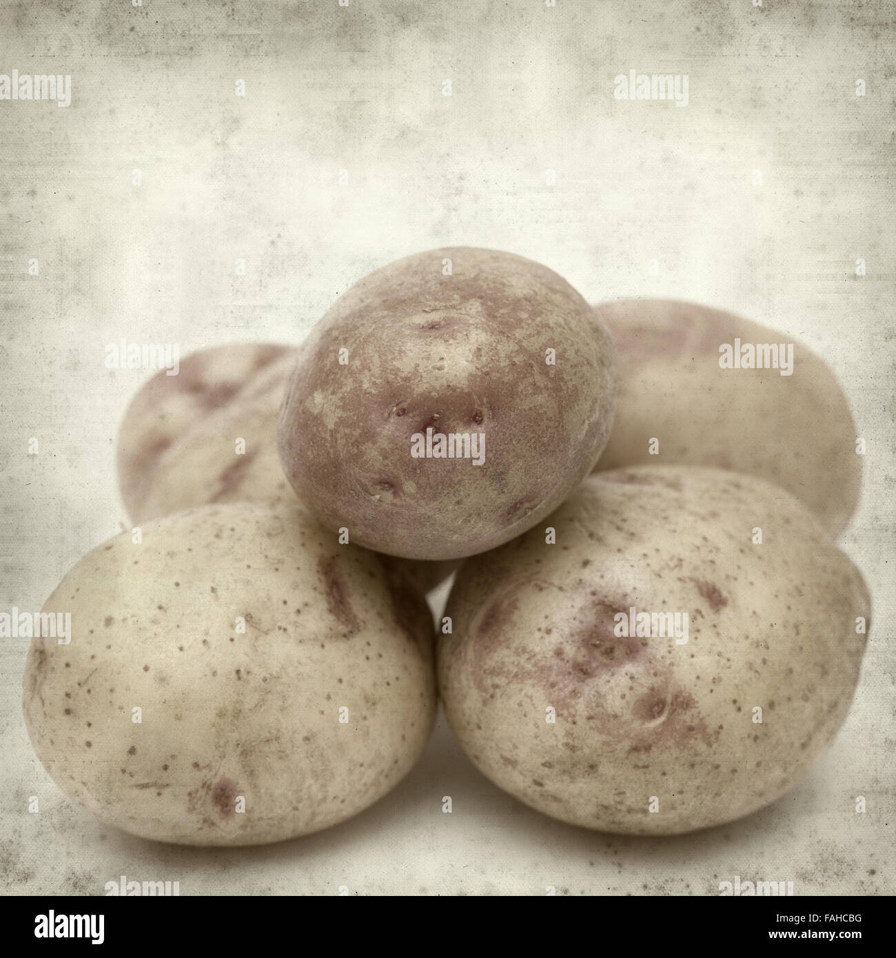 textured old paper background with new potatoes Stock Photo - Alamy