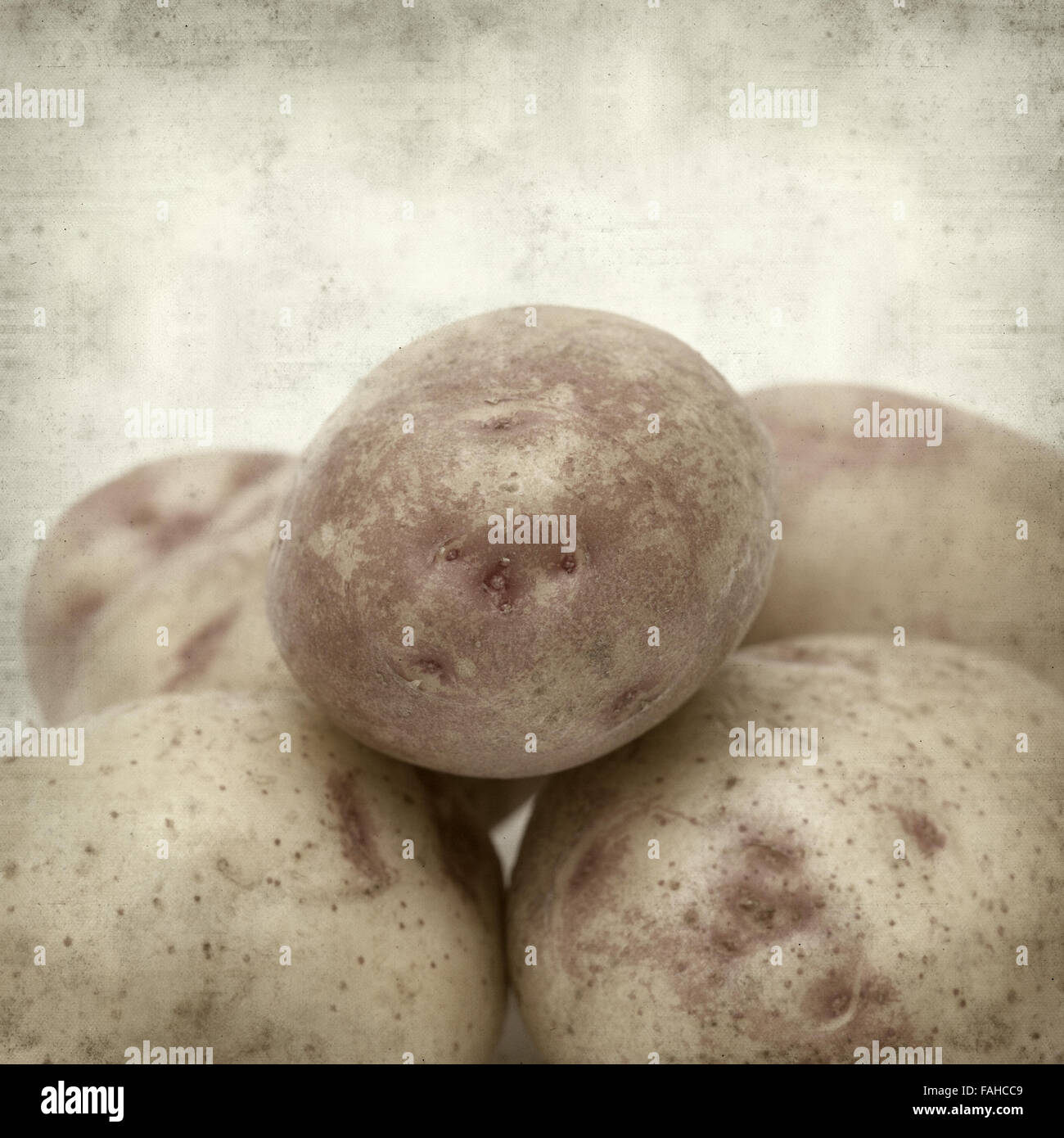 textured old paper background with new potatoes Stock Photo - Alamy