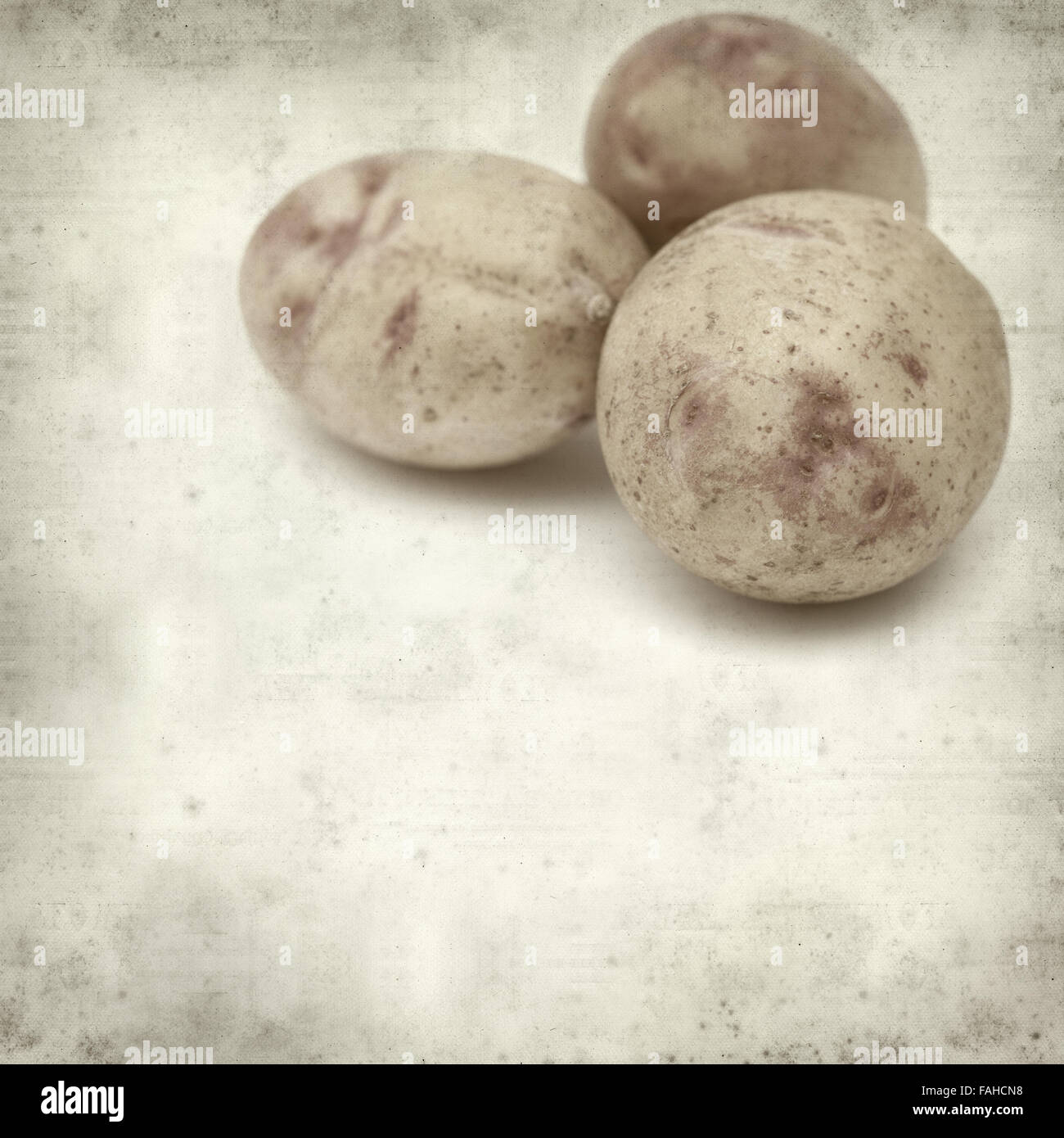 textured old paper background with new potatoes Stock Photo - Alamy
