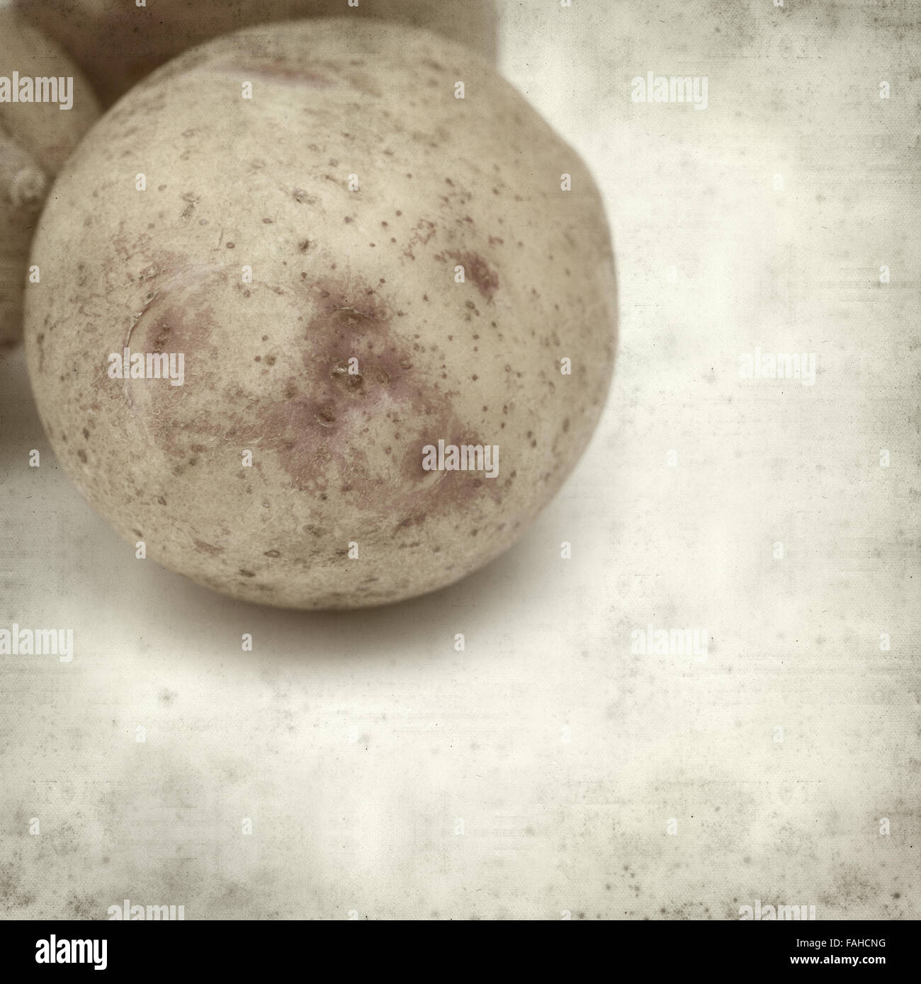 textured old paper background with new potatoes Stock Photo - Alamy