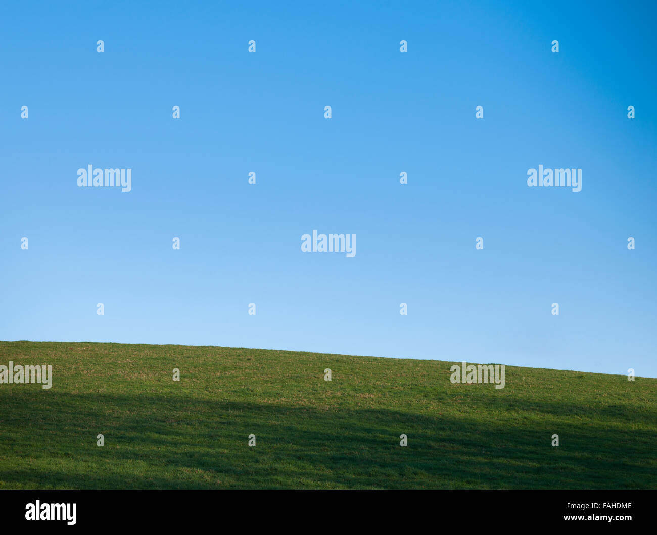 Teletubbies Blue Sky