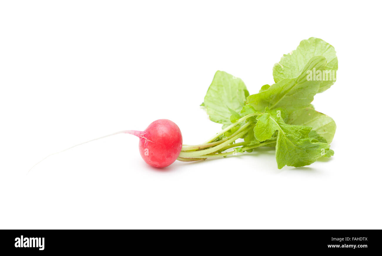 single fresh wet radish isolated on white background Stock Photo - Alamy
