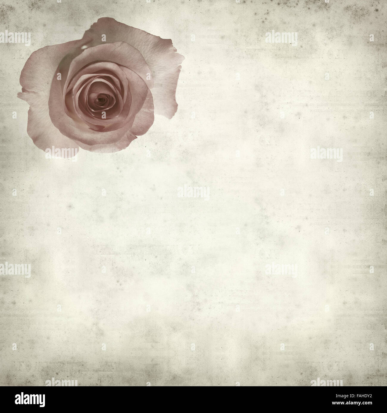 textured old paper background with gentle pink rose Stock Photo - Alamy