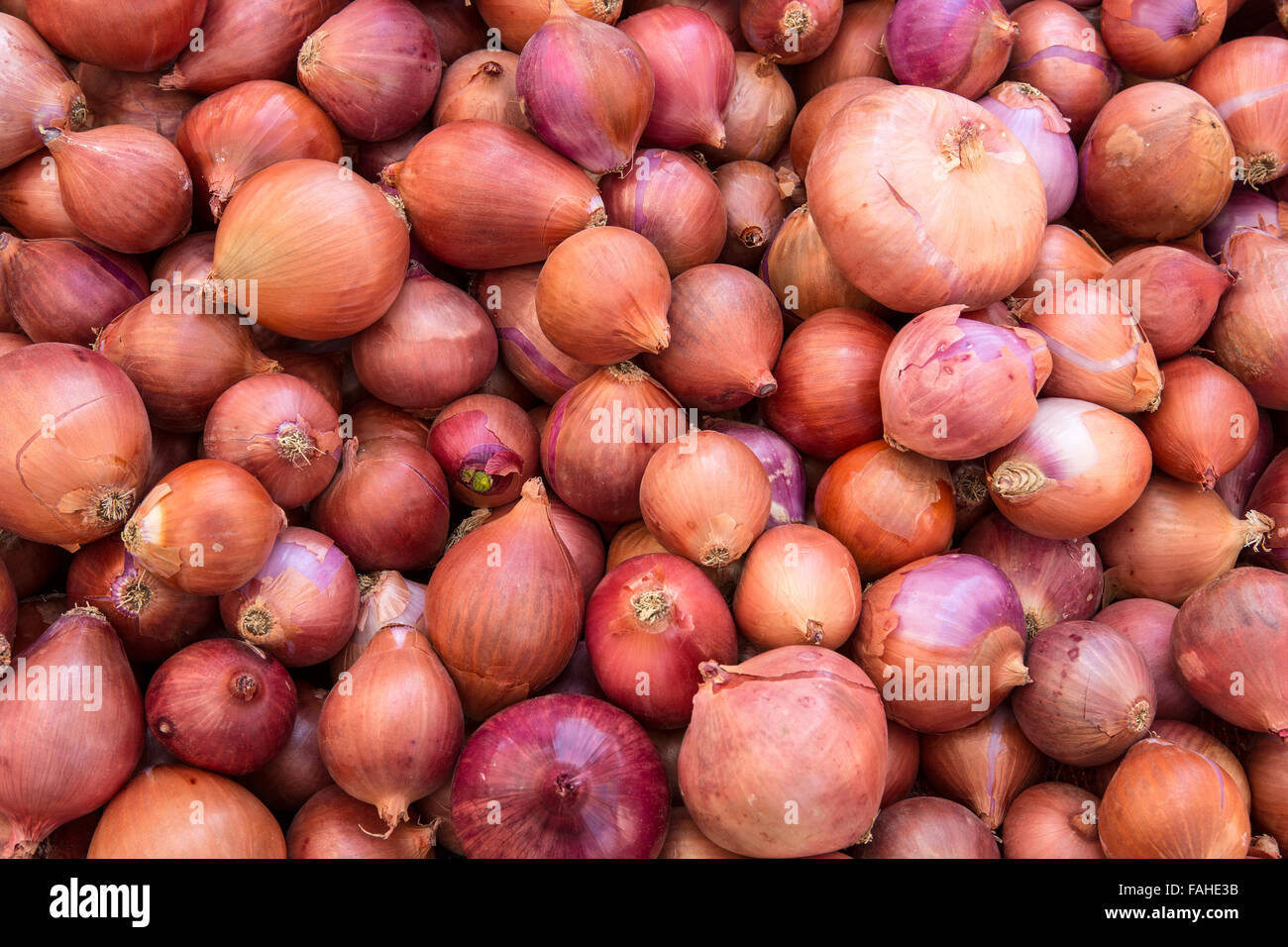 Fresh onions hi-res stock photography and images - Alamy