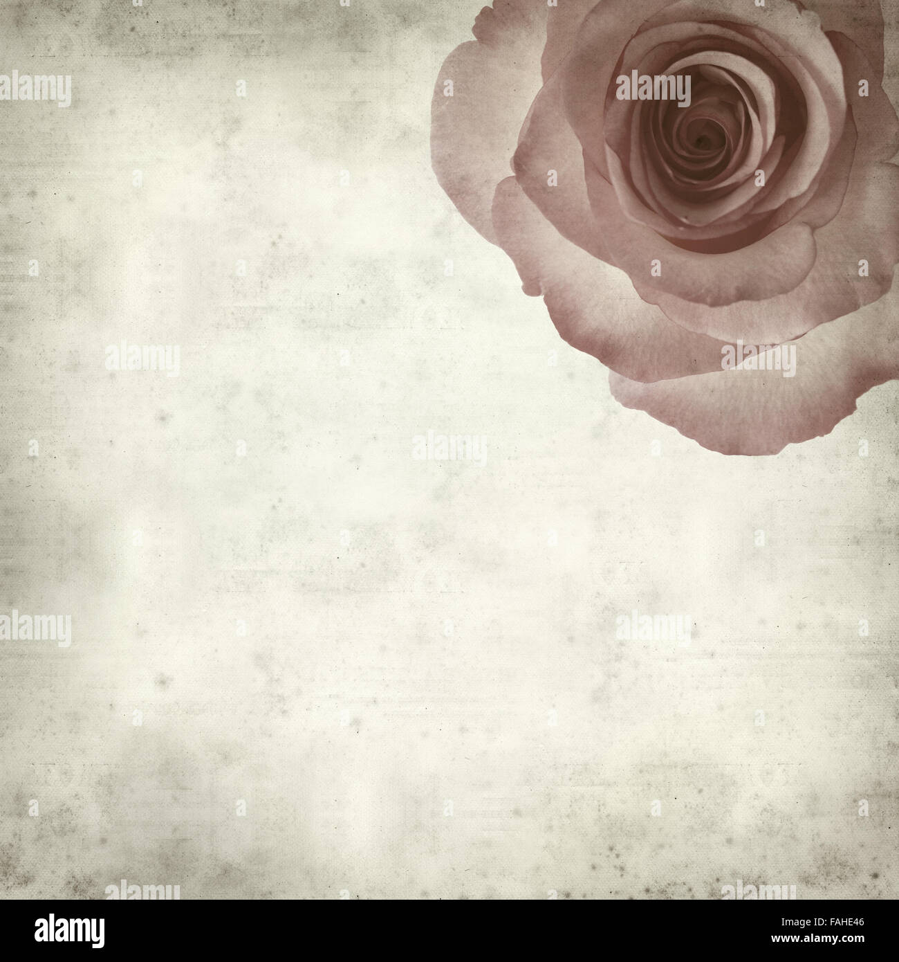 textured old paper background with gentle pink rose Stock Photo - Alamy