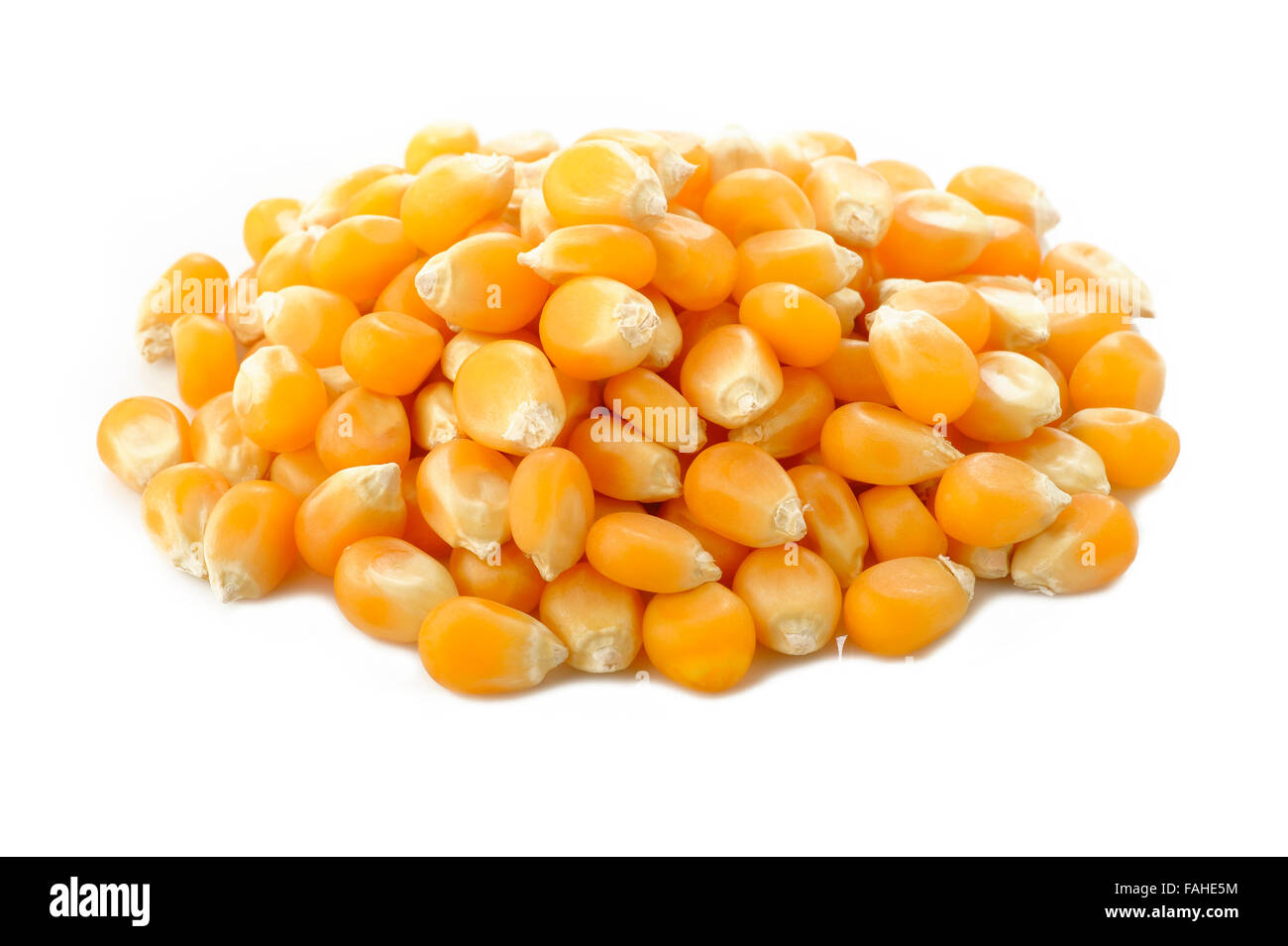 Corn seeds on white background Stock Photo - Alamy