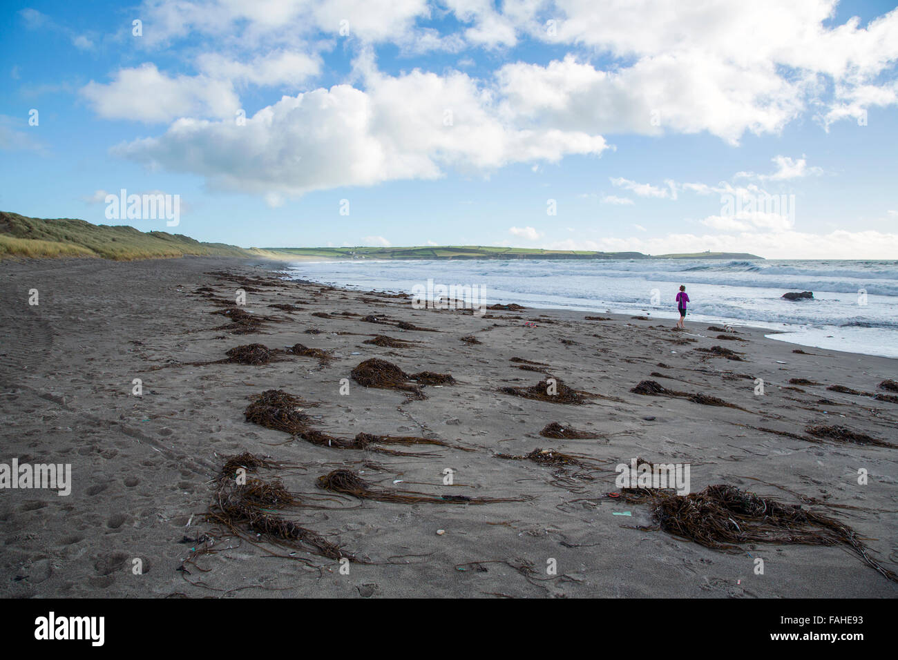 Owenahincha, Beach, rosscarbery Stock Photo - Alamy