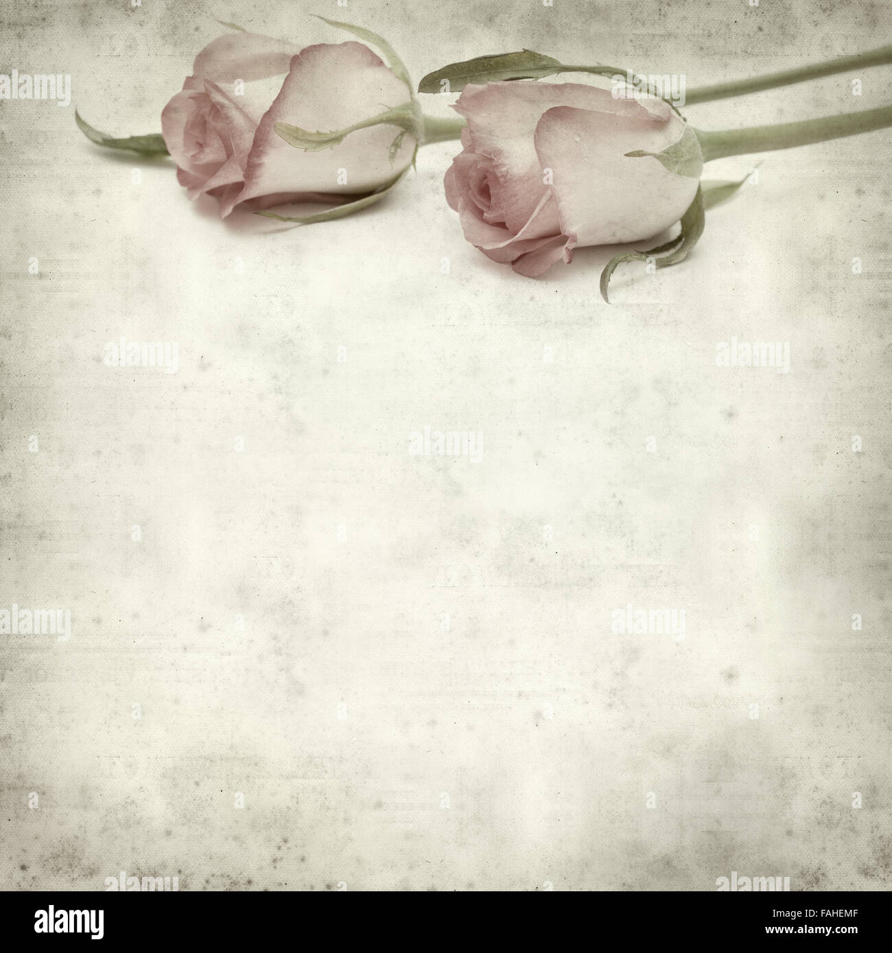 White Textured Cardstock Flower