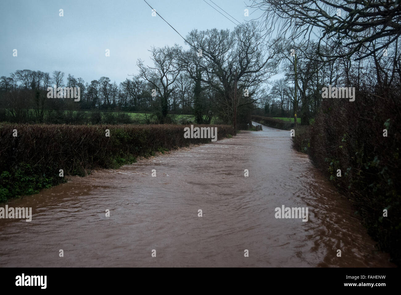 Exeter, UK. 30th Dec, 2015. Weather of the day, Storm Frank, pictured ...