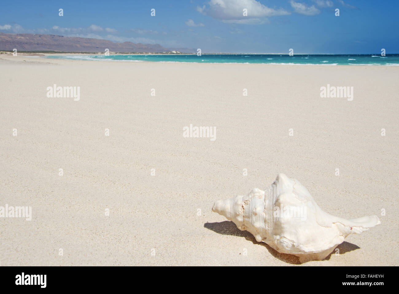The protected area of Aomak beach, Gulf of Aden, Arabian Sea, Socotra ...