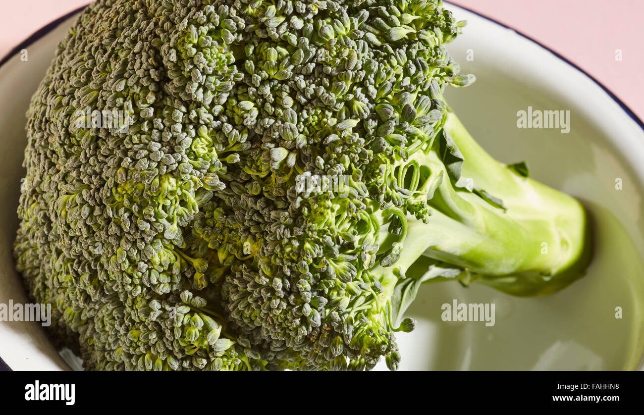 Head of fresh broccoli Stock Photo - Alamy