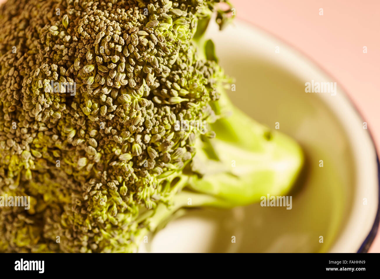 Head of fresh broccoli Stock Photo - Alamy