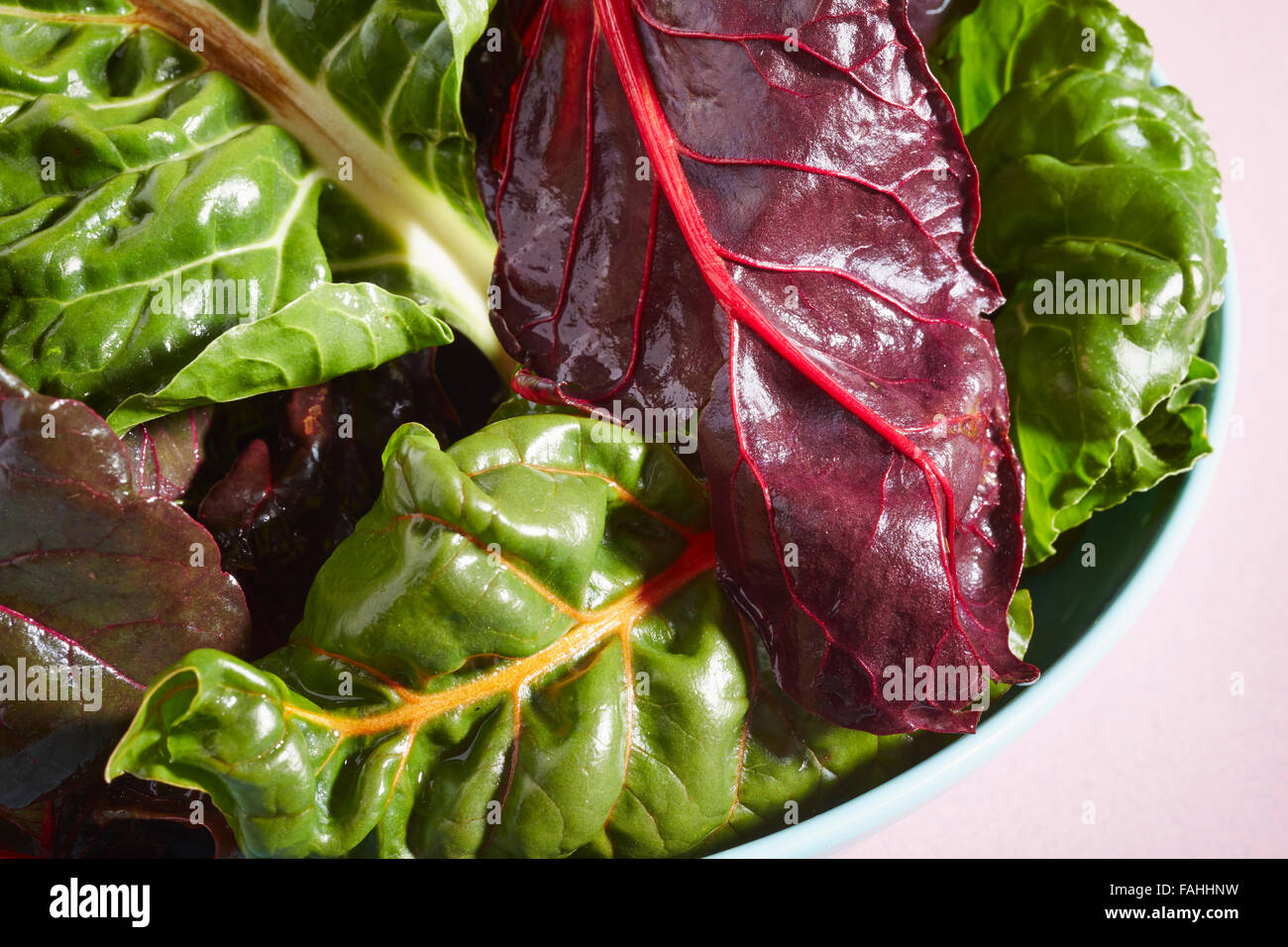 leaves of rainbow chard Stock Photo - Alamy