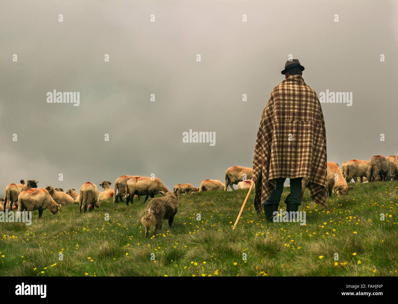 Signse hi-res stock photography and images - Alamy