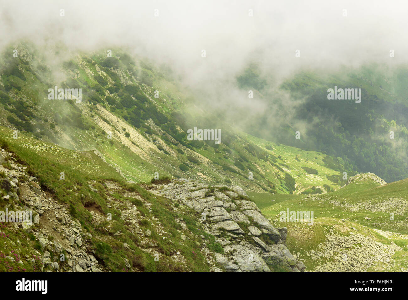 Mountain landscape with rocks, grass in a foggy - sunny day Stock Photo ...