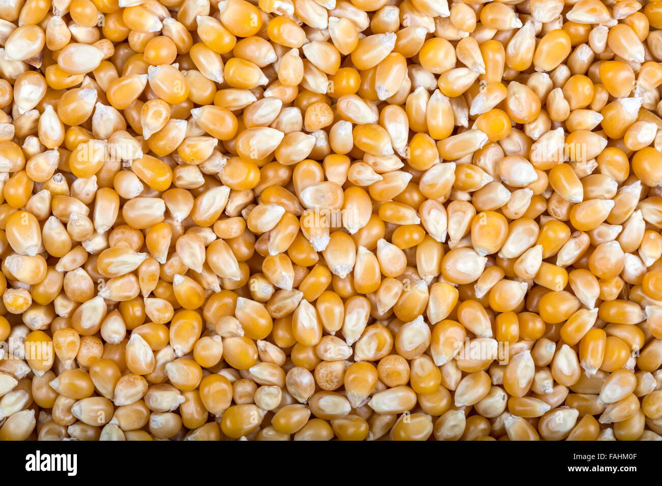 Corn grains hi-res stock photography and images - Alamy