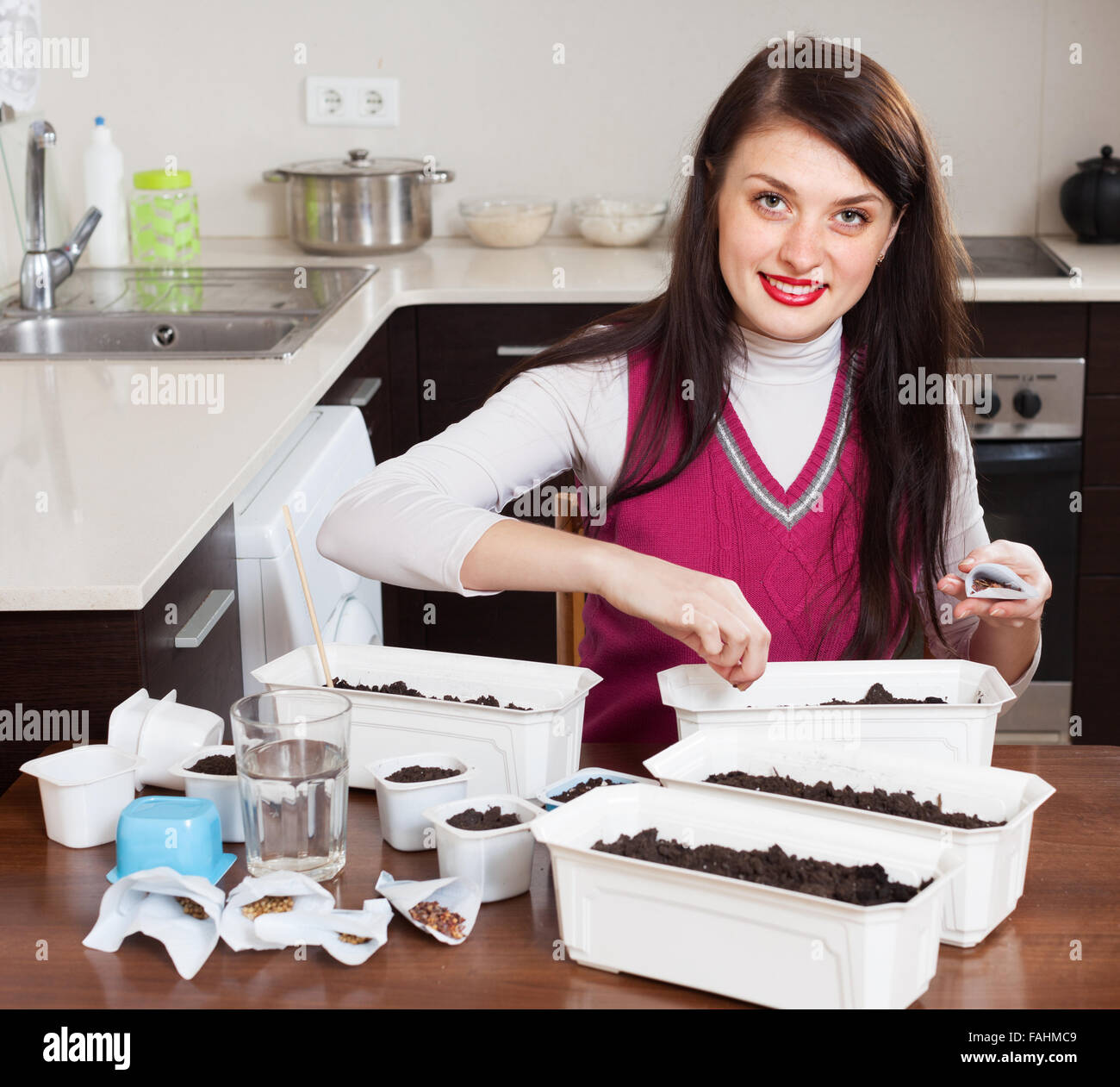 Brunette woman sowing seeds in pots at table in home Stock Photo - Alamy