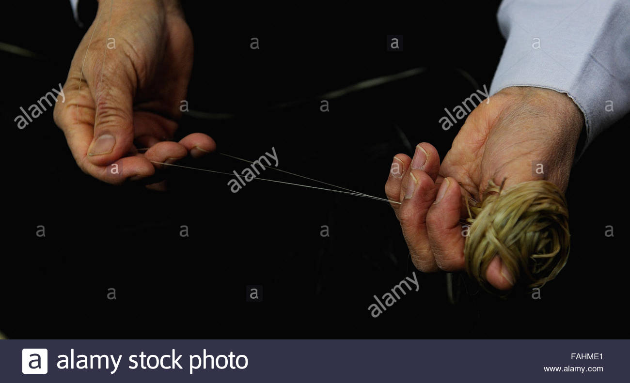 Body Parts Fabric Stock Photos & Body Parts Fabric Stock Images - Alamy