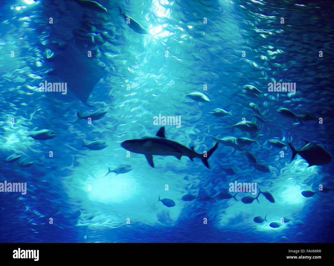 Camera schake hi-res stock photography and images - Alamy