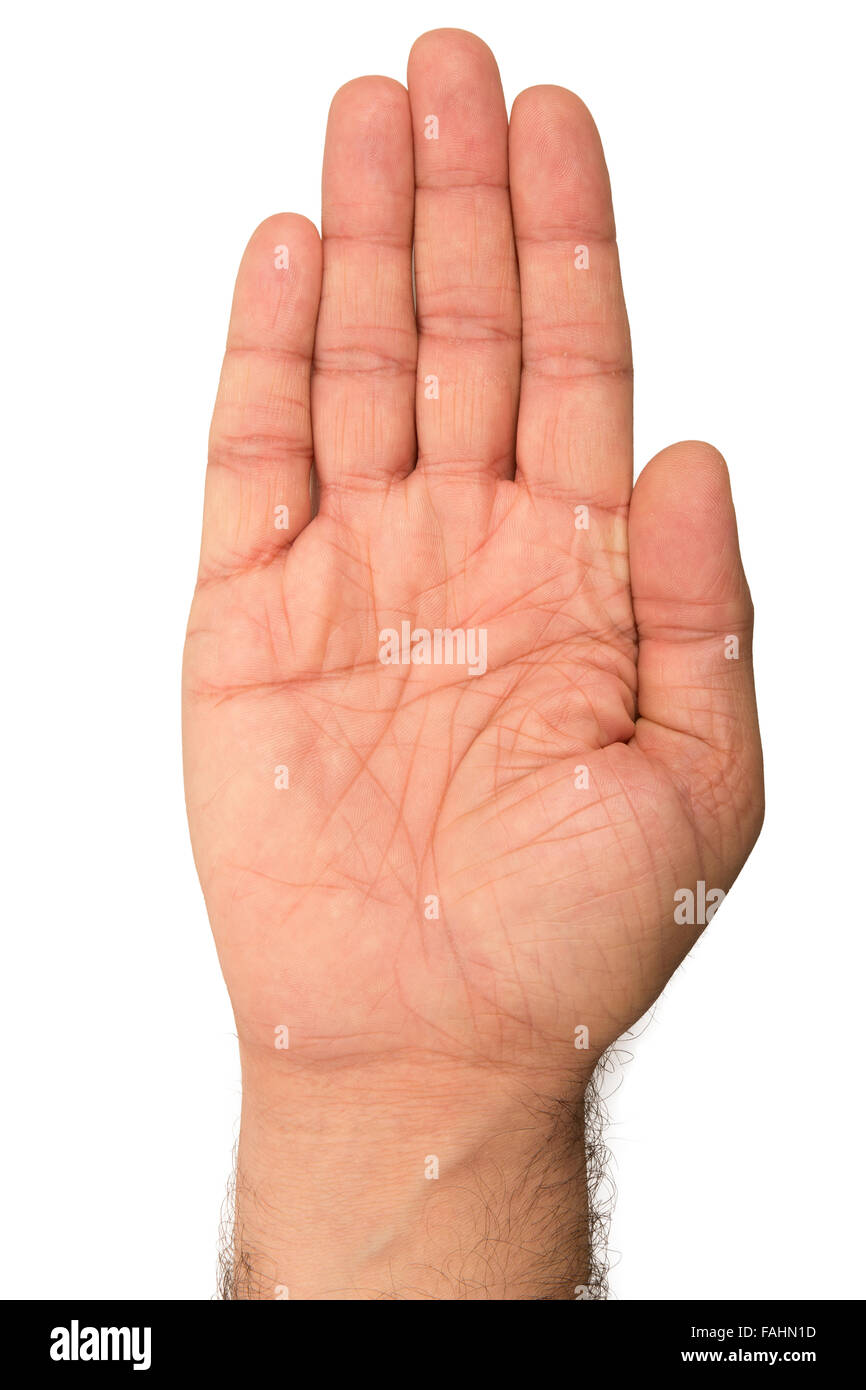 Palm side of hand on white background Stock Photo - Alamy